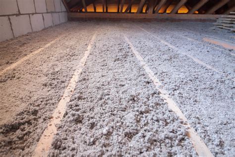 Insulating Yourself Against Pests Western Pest Services