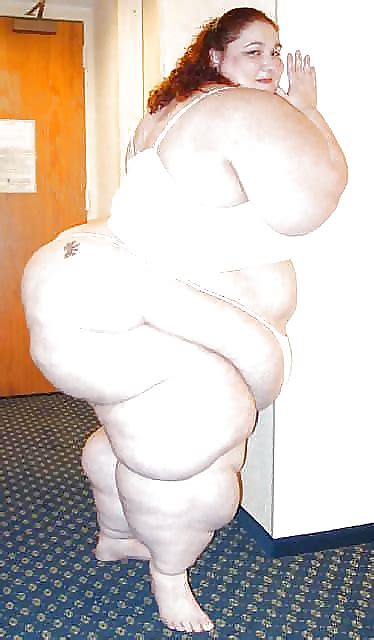 Suculentas Ssbbw Porn Pictures Xxx Photos Sex Images 1581317 Pictoa