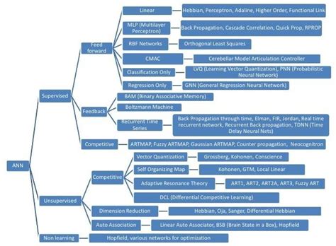 Taxonomy Of Network Architecture Download Scientific Diagram