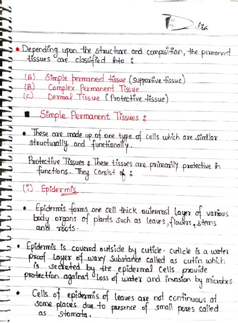 Tissues Class 9 Handwritten Notes Pdf Readaxis