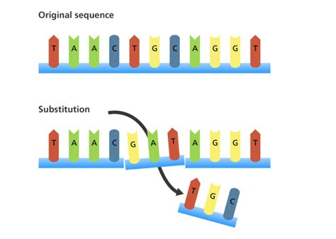 what are different types of mutations