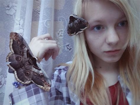 Бабочки Пикабу