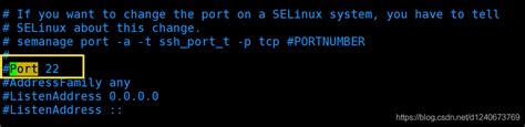 linux修改ssh远程登录配置 linux如何修改nf csdn博客