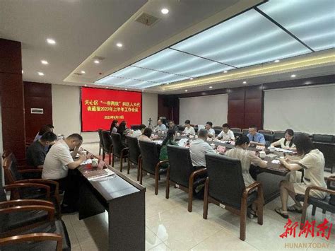 天心区：人大代表热议“一府两院”半年度工作报告 权威发布 新湖南