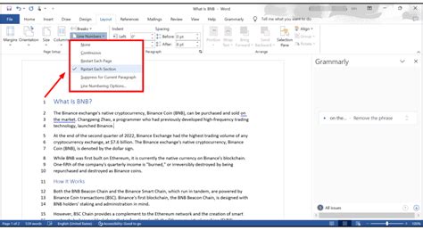 How To Add Line Numbers In MS Word Step By Step Pics