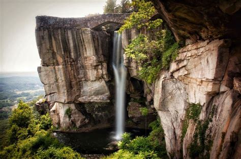 Tripadvisors 23 Georgia Fan Favorites Explore Georgia