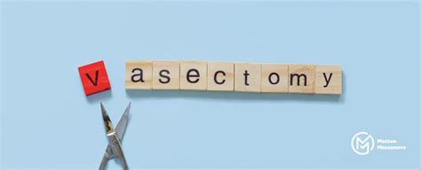 Non Scalpel Vasectomy The Operation In 5 Steps And How To Reverse It