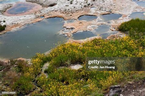 Jan Brooks Photos And Premium High Res Pictures Getty Images