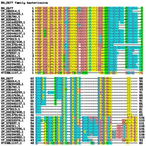 Sequence Alignment Shows Evidence For A Heterocycloanthracin Group Of