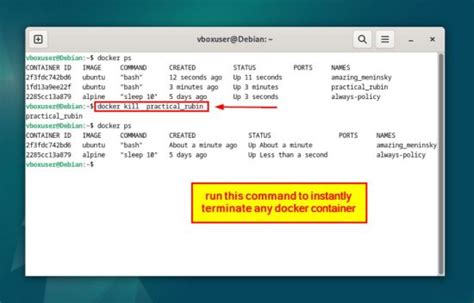 How To Exit Docker Container Like A Pro 6 Best Methods