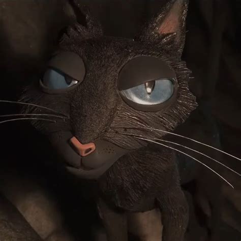 𝐂𝐀𝐓 𝐅𝐑𝐎𝐌 𝐂𝐎𝐑𝐀𝐋𝐈𝐍𝐄 Coraline Cat Coraline Aesthetic Coraline Movie