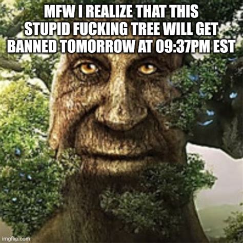 Is It Expression Of Despair Or Hapiness R Okbuddyretard Wise Mystical Tree If You Re Over