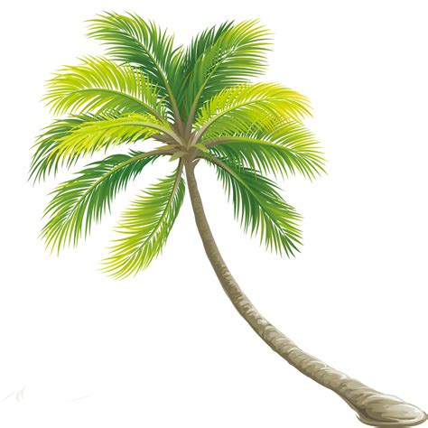 Free Palm Tree Clipart Download Free Palm Tree Clipar