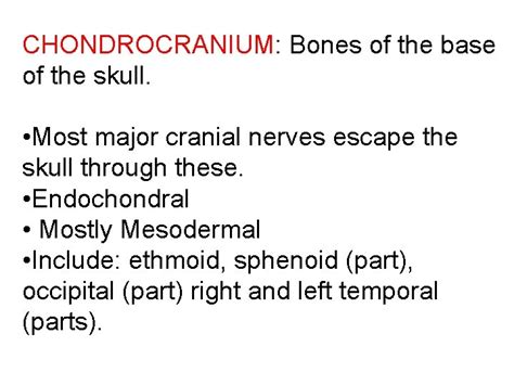 Biology 323 Human Anatomy For Biology Majors Lecture