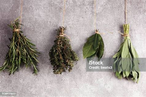 로즈마리와 바 질이 있는 소박한 배경에 자생 하는 향기로운 허브 0명에 대한 스톡 사진 및 기타 이미지 0명 꽃 식물 독일 Istock
