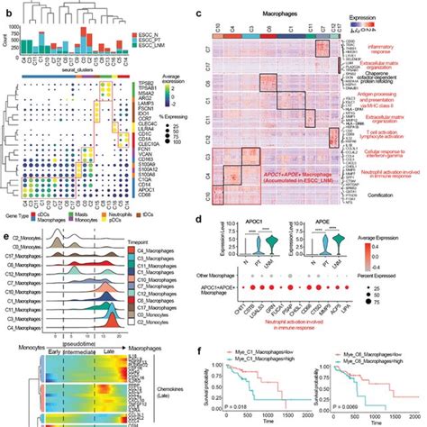 Expression And Development Of Myeloid‐derived Cells In Escc A Umap