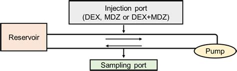 Extracorporeal Circuit Configuration Download Scientific Diagram