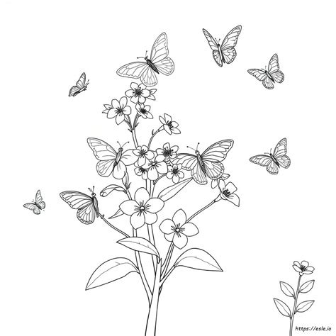 Boddle Värityskuvat