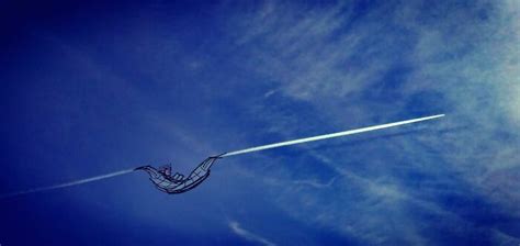 Incredibly Cute Parallel Lines By Me And My Friends Bored Panda