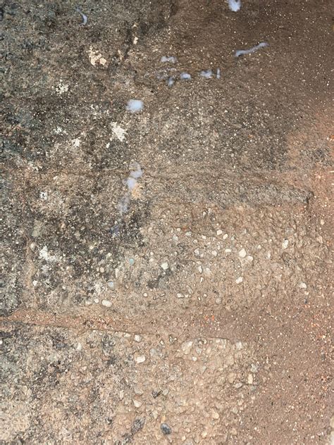 Daddy Muscle Cum At A Cruising Spot Scrolller