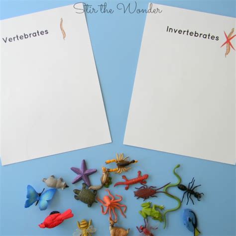 Hands On Sorting Vertebrates And Invertebrates Stir The Wonder