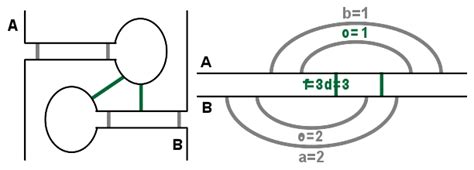 exercise sheet 8 rna rna interaction