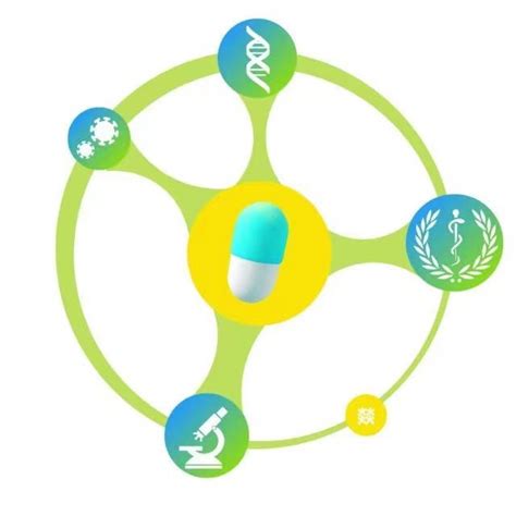 生物等效性研究的评价标准介绍 药物 进行 案例