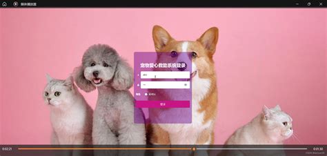 Ssmphpnodepython宠物爱心救助系统 Csdn博客