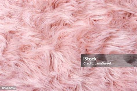 핑크 퍼 텍스처 탑 뷰 핑크 양가죽 배경 모피 패턴 핑크 털이 털이 많은 모피의 질감 양 털 가죽에 대한 스톡 사진 및 기타 이미지 Istock