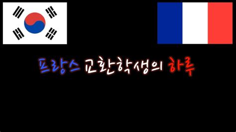 프랑스 트루아 공과대학 교환학생의 하루 Youtube