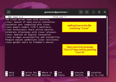 How To Find Bash String Length 5 Best Methods