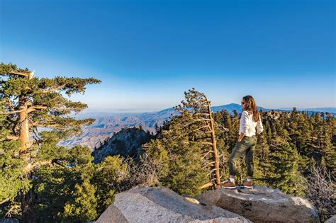 13 Landmarks To Visit In Greater Palm Springs Palm Springs Life