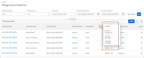 SAP SuccessFactors TimeTracking Solution VISCAP Consultancy Services Pvt Ltd