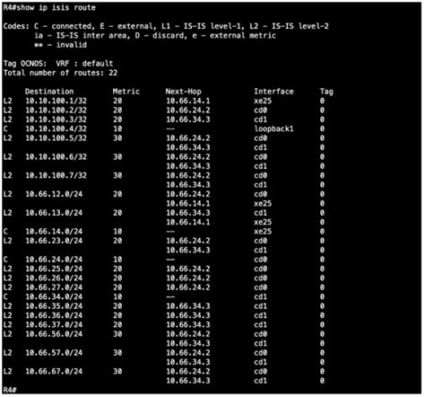 Flex Algo In Ocnos Fundamentals Of Customized Path Selection Ip Infusion