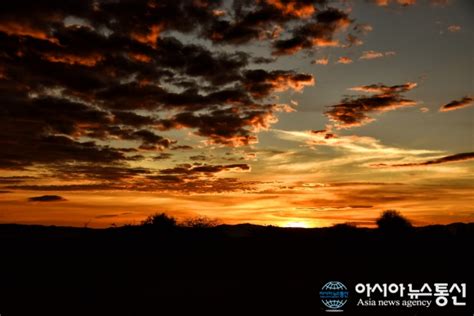 노을진 탄자니아 세렝게티