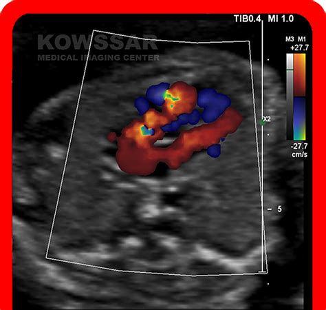 انتشارات پرسنل تصویربرداری کوثر