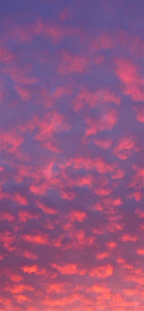 Pink Clouds Iphone Wallpapers Wallpaper Cave