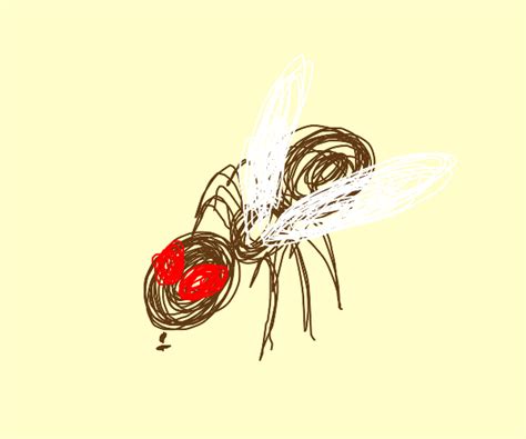 Cockroach Drawception Cockroach Drawception