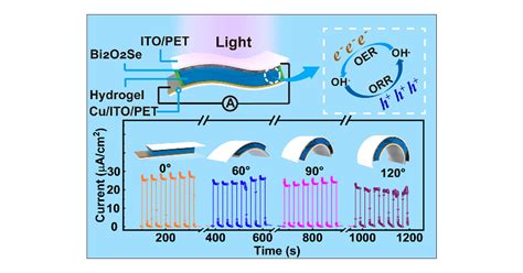 Flexible Self Powered Photoelectrochemical Photodetectors Based On