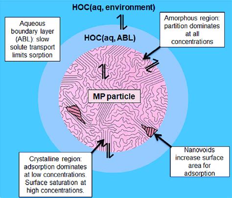 Schematic Of The Generalized Interactions Between Hydrophobic Organic