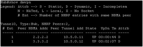 Configuring Dynamic Multipoint Vpn Dmvpn Integrating It