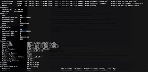 invalid cpu configuration of command when “minikube start” · issue