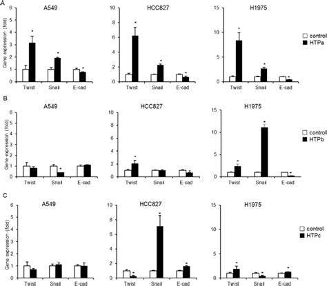 Effects Of The Cses Derived From The Htps On The Expression Levels Of