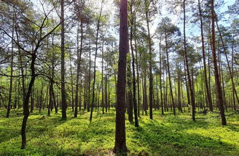 젤데르말센 더 호헤 벨루에 국립공원 티켓