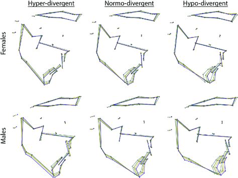 Visualization Of The Shape Change Along Each Facial Type And Sex Growth Download Scientific