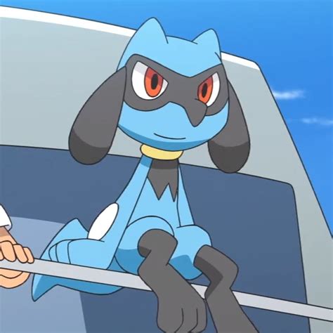 Riolu Appreciation Post Rpokemon