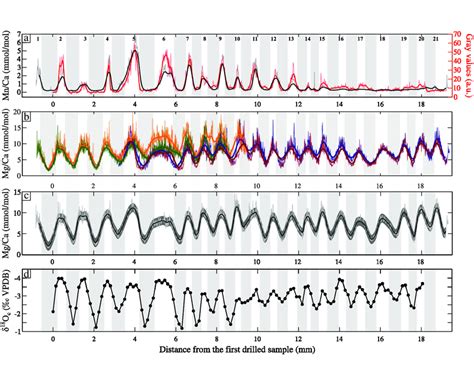 Trace Elements Ratio And Isotopes Results Mm Corresponds To The Download Scientific Diagram