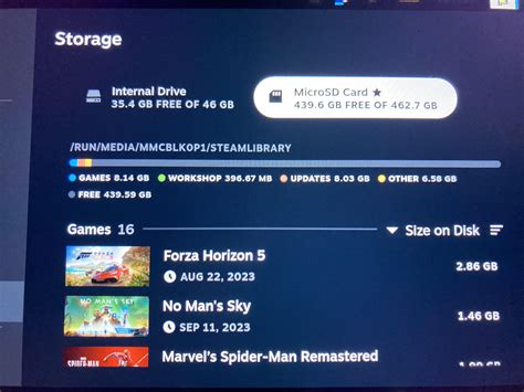 Game Data Disappearing Rsteamdeck