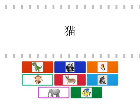 动物 Find the match