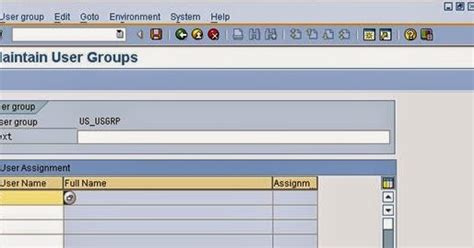 Time 4 Sap Security User Group Creation And Assignment To Users In Sap